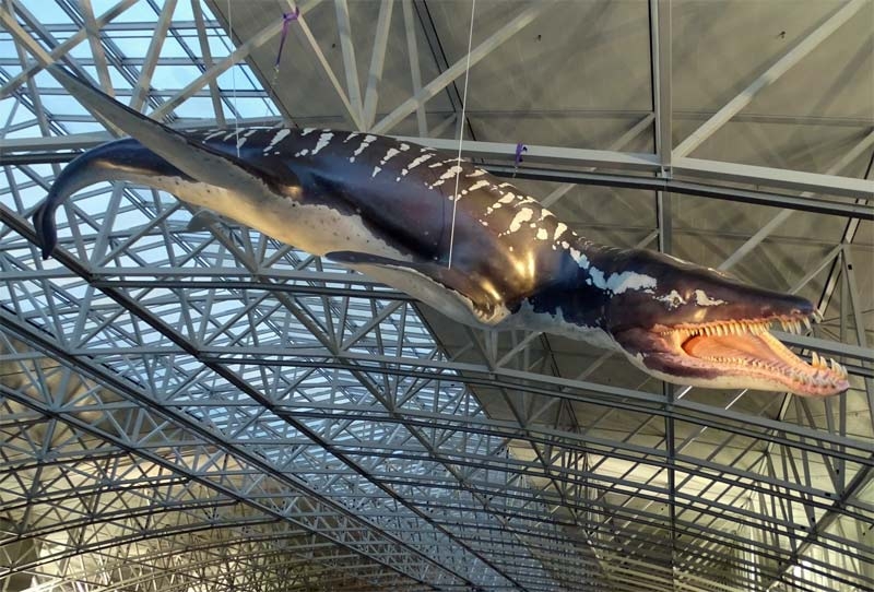 The Evolution of Flight - Europe 66